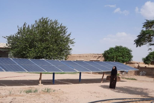 World Environment Day: How farmers in Syria are adapting their methods ...